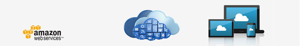 Amazon’s Cloud Service Providers, Amazon Web Services India